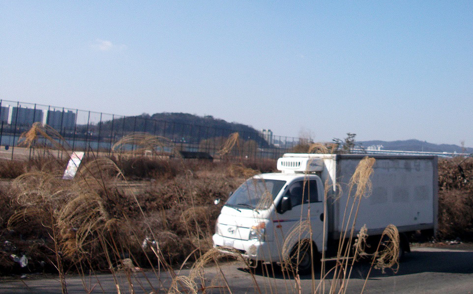 고양시 한강 난지공원 ^^ – 미스디카